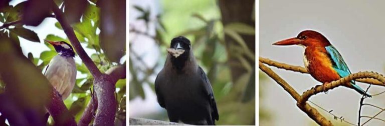 25 Great Offbeat Things in Delhi You Need to experience