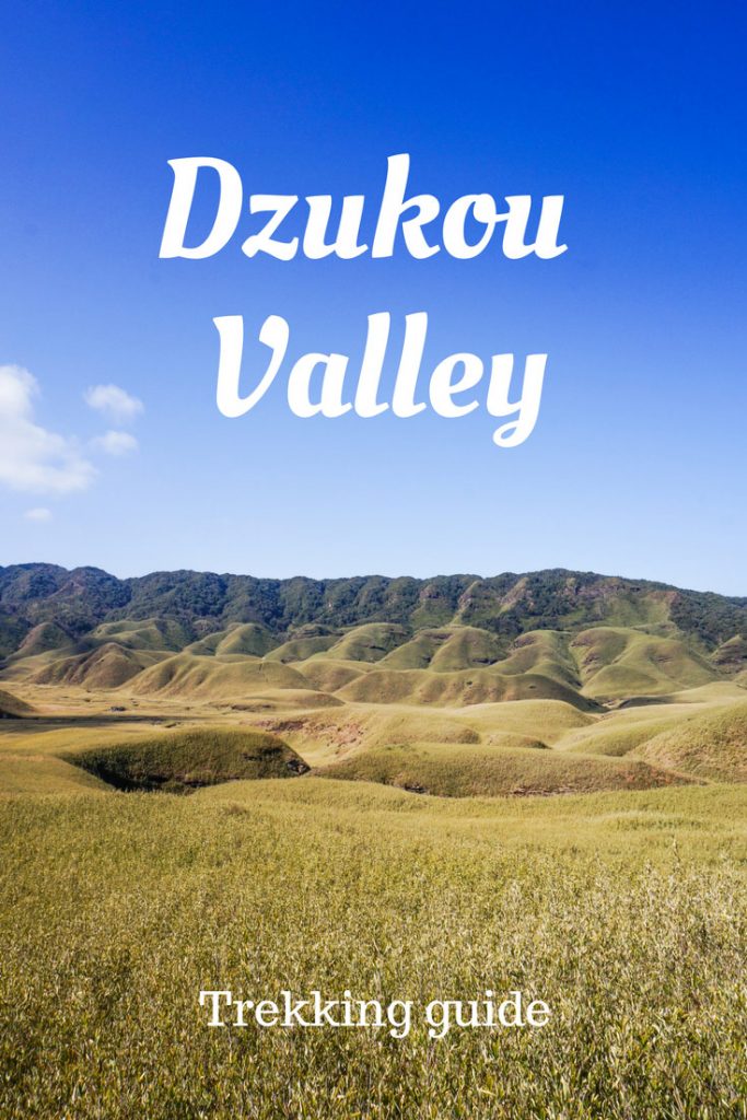 Dzukou Valley trek by yourself - practical guide