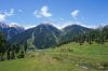 Aru Valley Pahalgam - all you need to know before you go