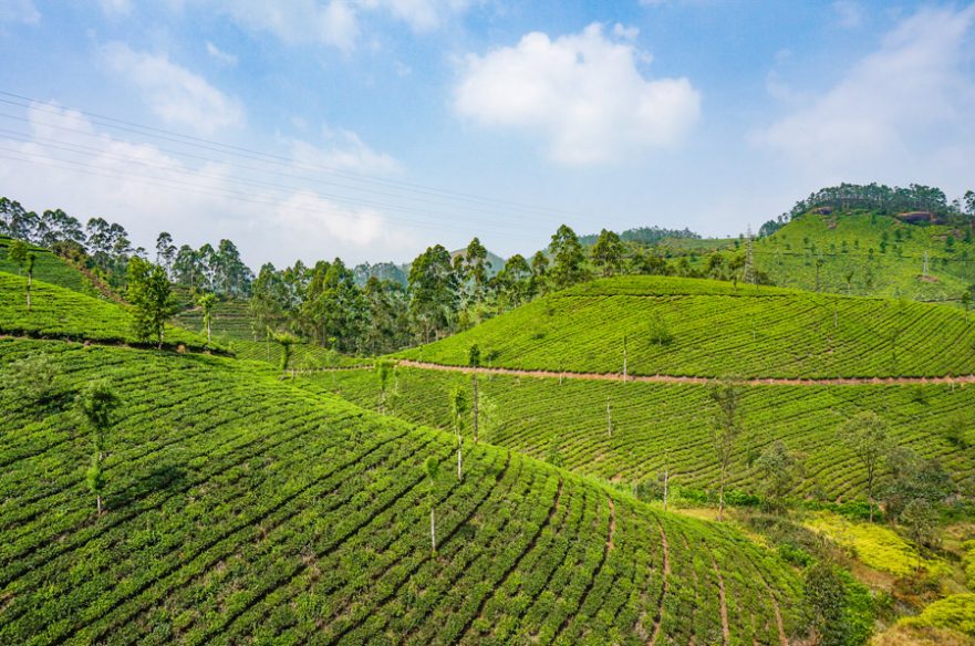 Best time to visit India - Guide to Indian seasons - Mytriphack